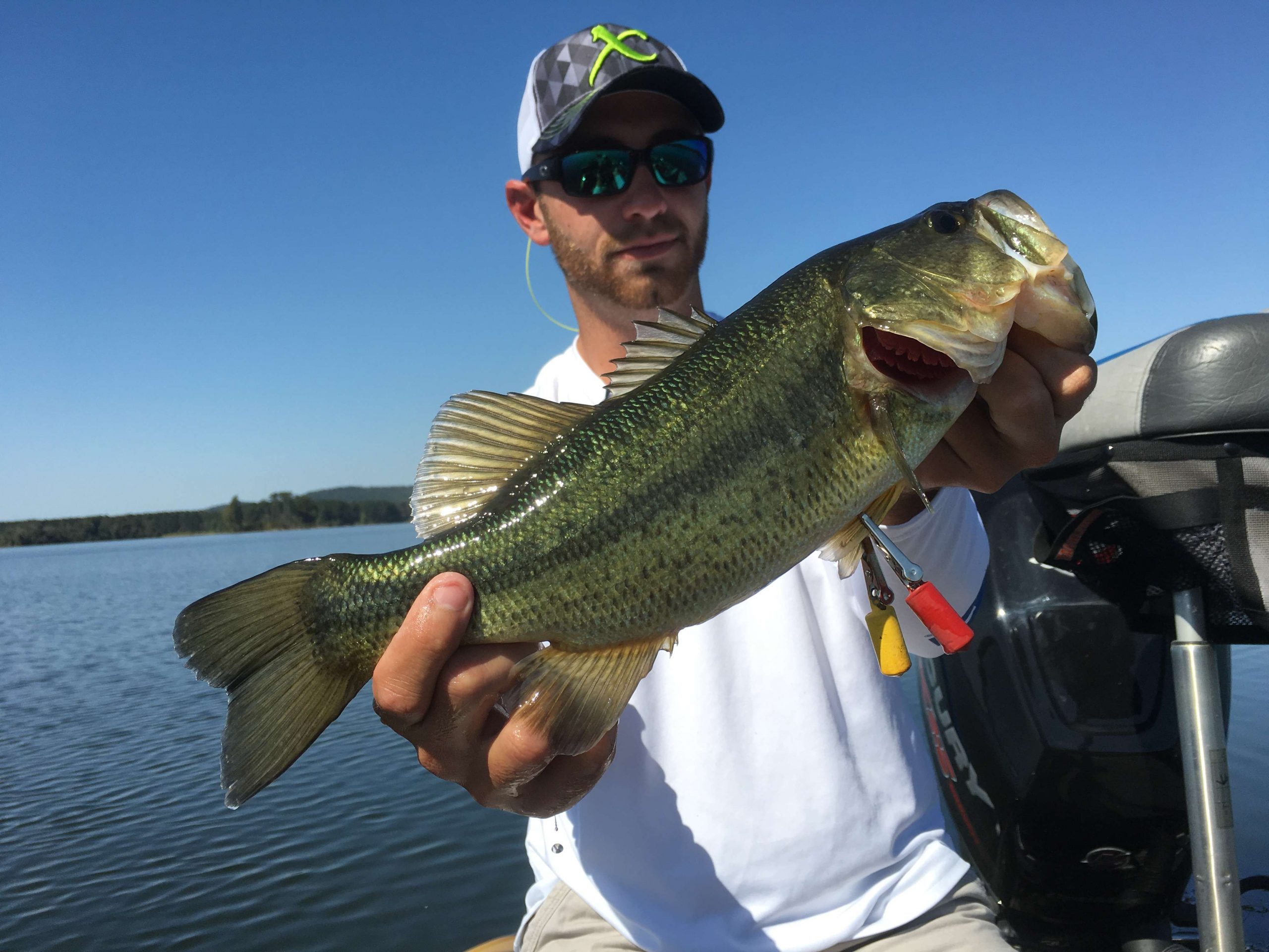 How to keep fish alive with Brandon Lester - Bassmaster