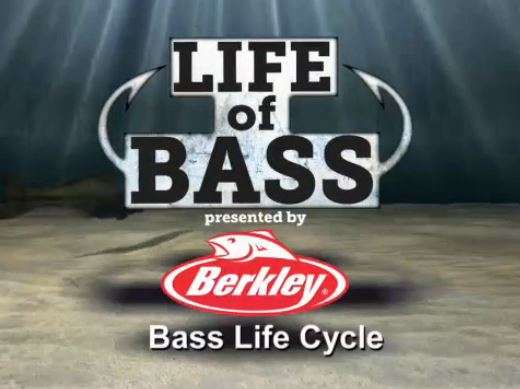 Life of Bass: Bass life cycle - Bassmaster