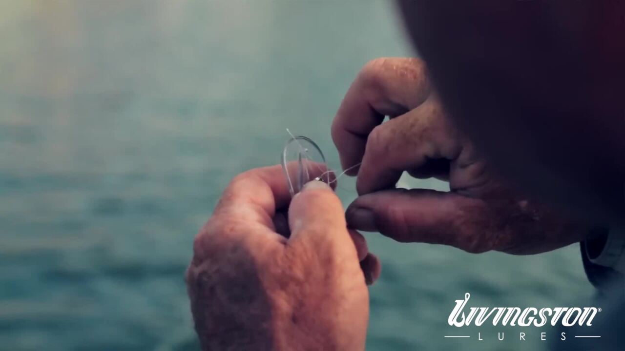 Lures innovate with bait sounds - Bassmaster