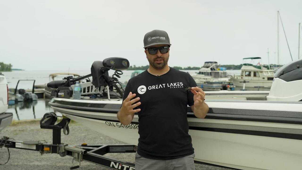 NED BUG - EXPLAINER - 4K - Bassmaster
