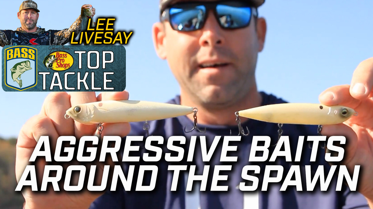 Top Tackle: Aggressive baits around the spawning season - Bassmaster